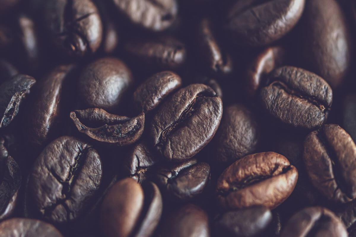 Kawa arabica – czym się charakteryzuje kawa arabska? - Kawiarnia Parkowa
